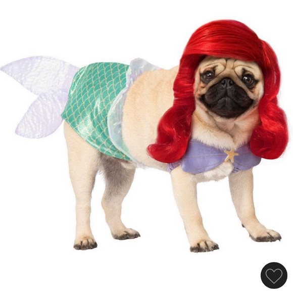 Disney | Dog | Disney Little Mermaid Ariel Dog Costume S | Poshmark